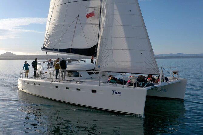 Maori Rock Carvings - Taupo Sailing Adventures -Tiua - An In-Depth Look at the Tour Experience