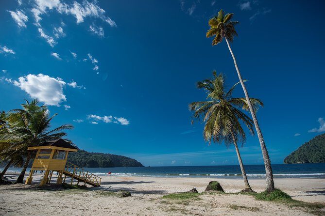Maracas Beach Trip - Who Should Consider This Tour?