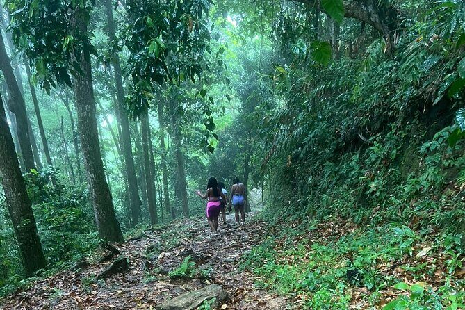 Maracas Waterfall - An Introduction to Maracas Waterfall