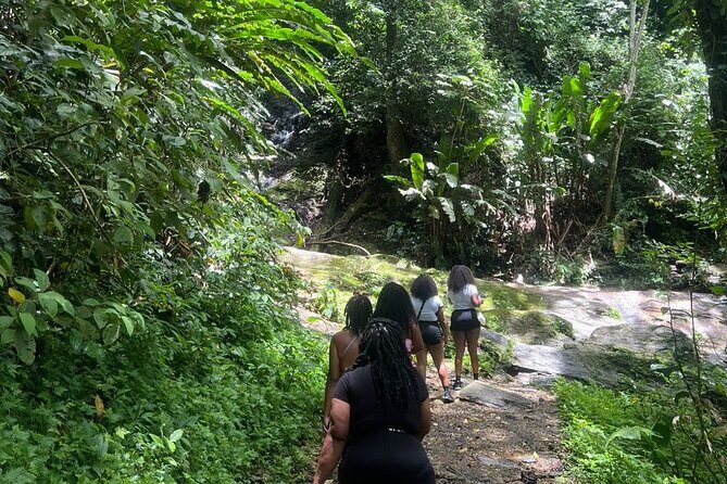 Maracas Waterfall - Logistics and Practical Tips