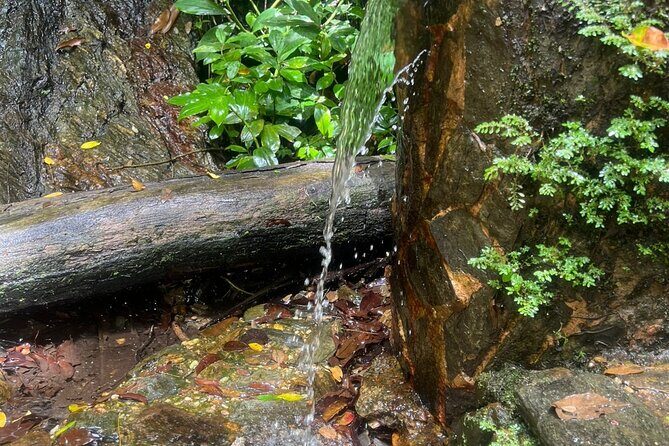 Maracas Waterfall - The Value Proposition