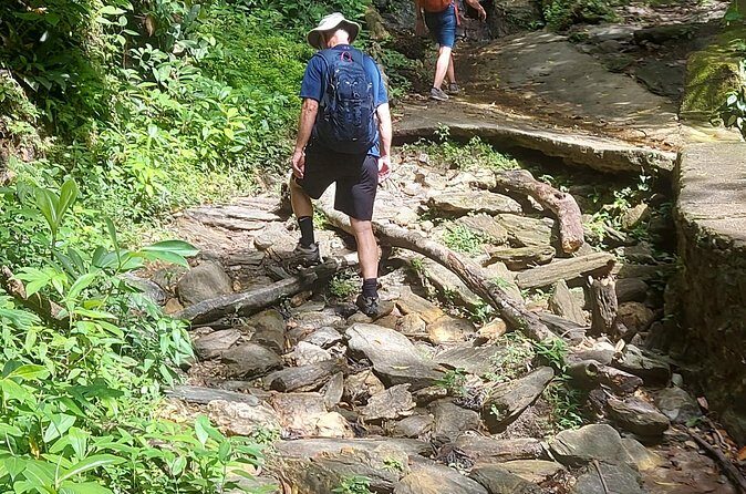 Maracas Waterfall Hike - Practical Tips