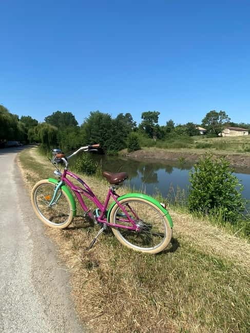 Marais Poitevin: Cycling in Green Venice - Who Should Consider This Tour?