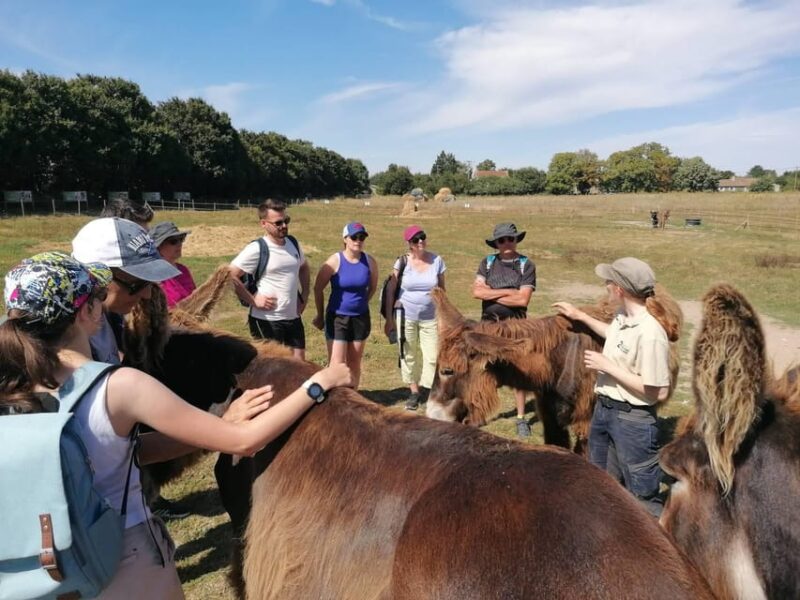 Marais Poitevin: Discovery day in the footsteps of the Baudet - Key Points