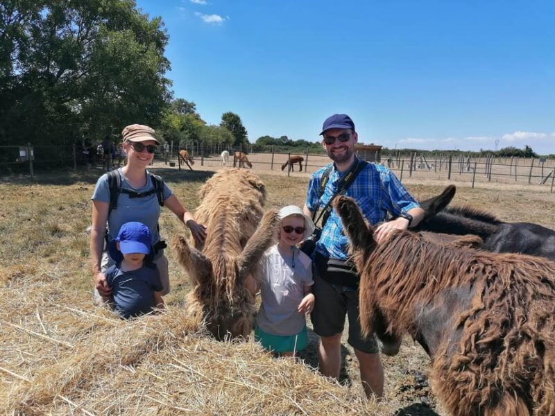 Marais Poitevin: Discovery day in the footsteps of the Baudet - Final Thoughts