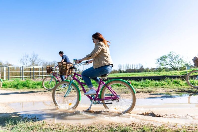 Marais Poitevin: Discovery day in the footsteps of the monk-builders - Discovering the Marais Poitevin: A Day of Scenic Beauty and Cultural Charm