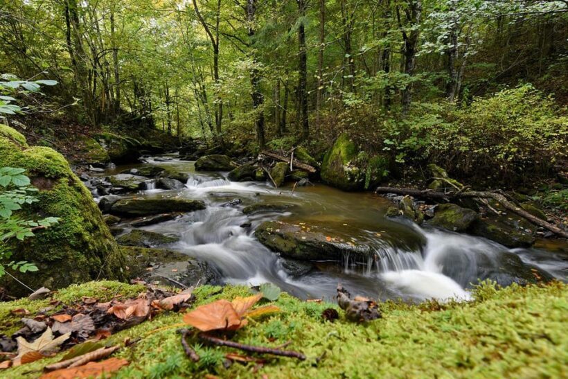 Maramure Mountain Trail - Exploring the Maramure Mountain Trail