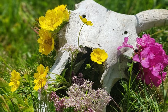 Maramures Activ Tour - Who Should Consider This Tour?