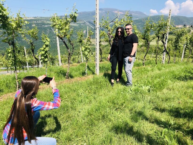Marano di Valpolicella: DOP Olive Oil Tasting Experience - What to Expect During the Tour