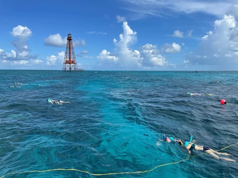 Marathon: Snorkeling Adventure by Boat at Sombrero Reef - FAQ