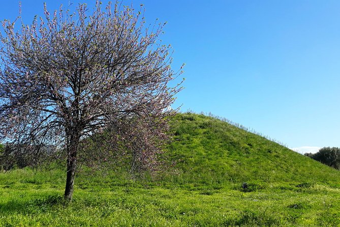 Marathon, Thermopylae/ Herodotus History private tour (9 hours) - Key Points