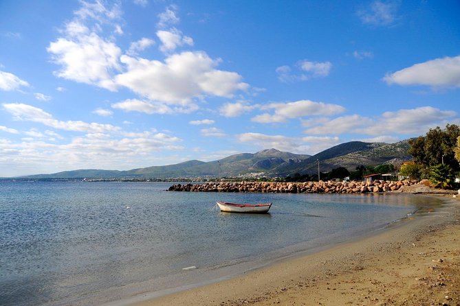 Marathon, Thermopylae/ Herodotus History private tour (9 hours) - Transportation & Comfort