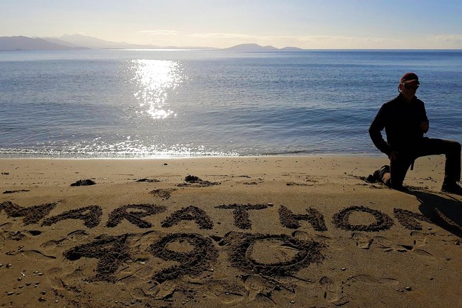 Marathon, Thermopylae, Thebes/Plataea, Herodotus Private Tour 10h - Traveler Insights