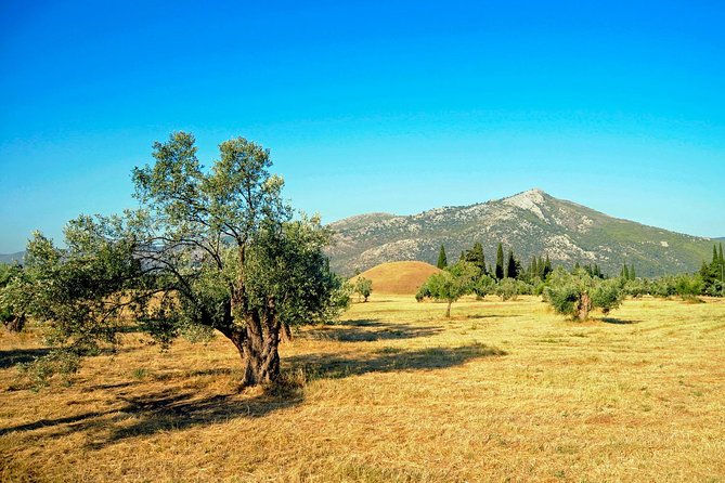 Marathon, Thermopylae, Thebes/Plataea, Herodotus Private Tour 10h - Battlefield Highlights: Thermopylae, Thebes/Plataea