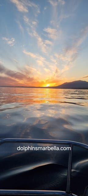 Marbella: Dolphin-Watching Sailboat Trip with Drinks, Snacks - Introduction: Why This Sailboat Trip Stands Out
