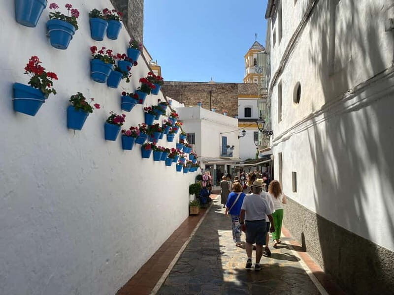 Marbella: Exclusive private premium bike tour to Puerto Banus - Authenticity and Reviews