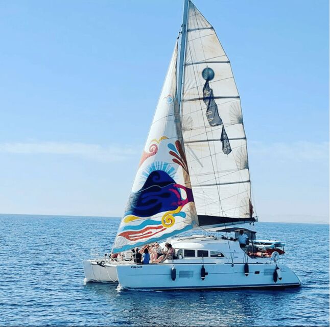 Marbella: Group Dolphin Watching Catamaran Tour with Drinks - Water Sports and Active Fun