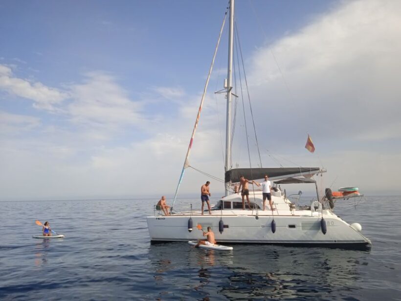 Marbella: Group Dolphin Watching Catamaran Tour with Drinks - Who Will Love This Tour?