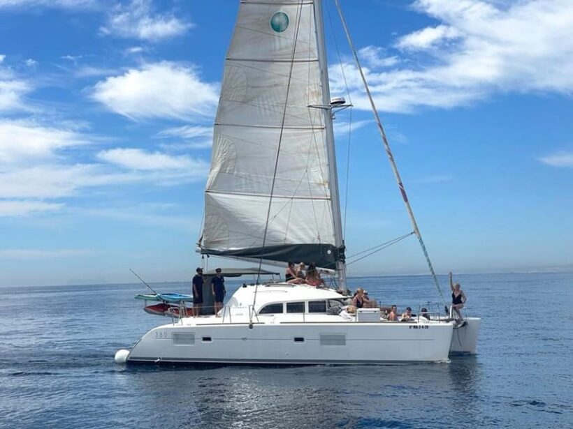 Marbella: Group Dolphin Watching Catamaran Tour with Drinks - Final thoughts