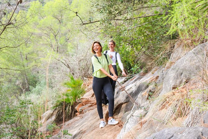 Marbella Guided Hiking and Foraging Adventure - The Price and Value
