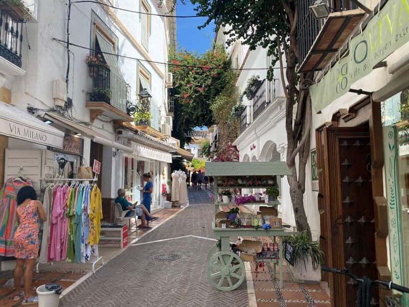 Marbella: Guided, PRIVATE city tour with tapas tasting - What’s Included and What’s Not