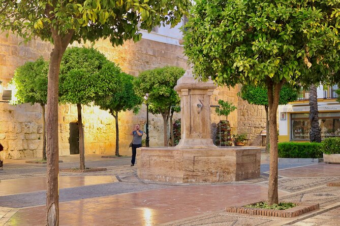 Marbella Old Town: Authentic Tapas Food Tour With Local Guide - Participant Experiences