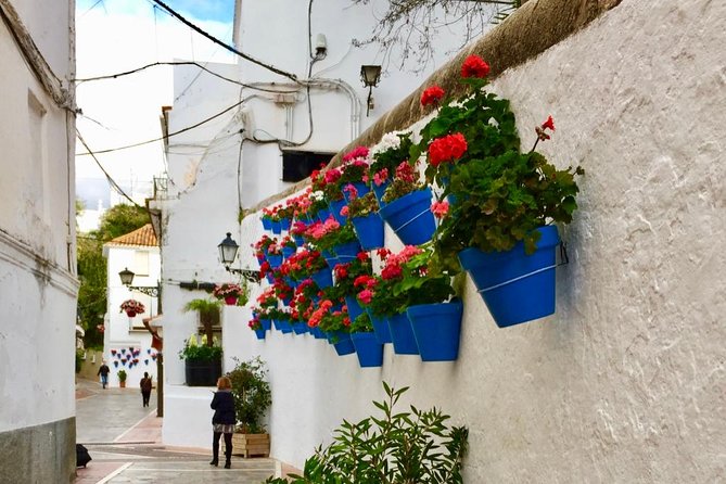Marbella Old Town Group Tour With a True Local - Exploring the History and Culture of Marbella