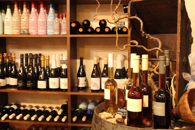 Marbella old town tour with Tapas and Wines - Who Will Love This Experience?