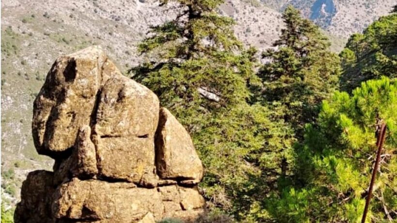 Marbella: Sierra de las Nieves National Park Hiking Day Trip - What You Can Expect from the Tour