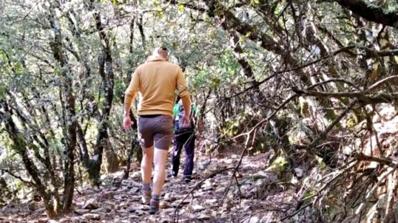 Marbella: Sierra de las Nieves National Park Hiking Day Trip - The Sum Up