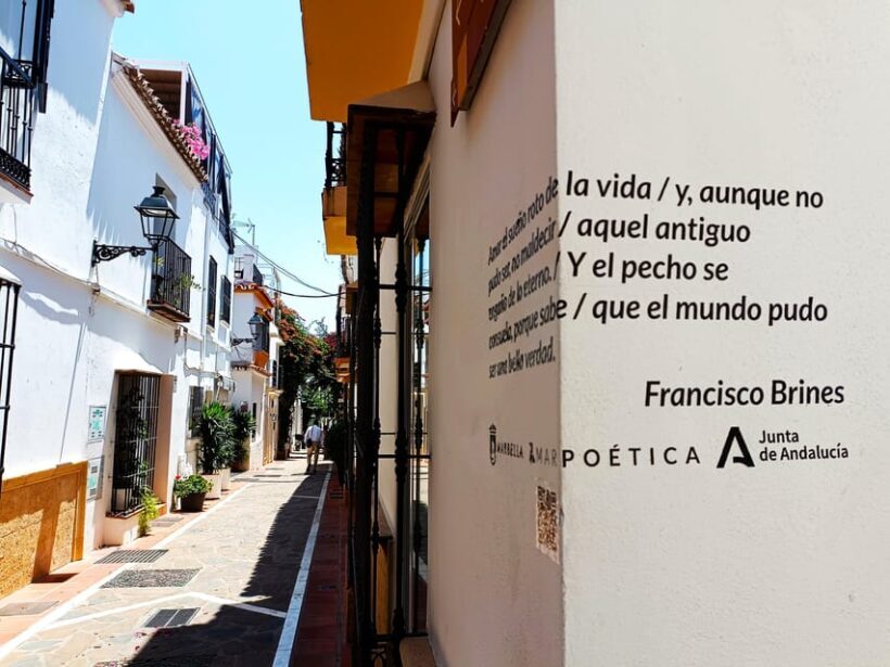 Marbella: Sightseeing Walking Tour - Who This Tour Is Best For