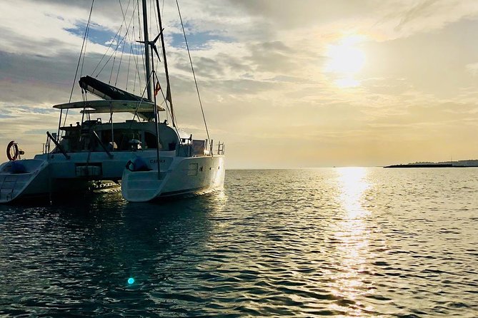 Marbella Small Group Catamaran With Dolphin Watching - Wildlife and Dolphin Watching Opportunities