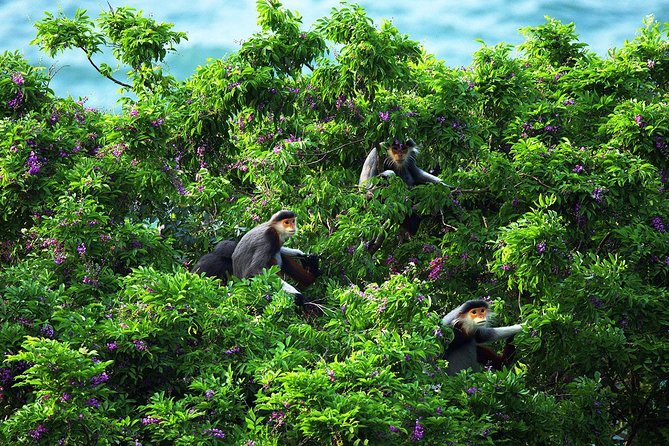 Marble mountain, Am Phu cave and Monkey mountains group tour - Who Will Love This Tour?