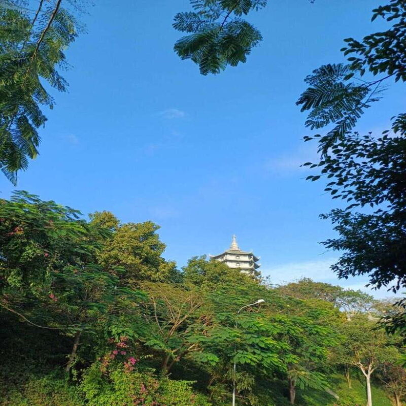 Marble Mountains-Lady Buddha & My Son Sanctuary Full-Day Trip - Considerations and Who This Tour Is Best For