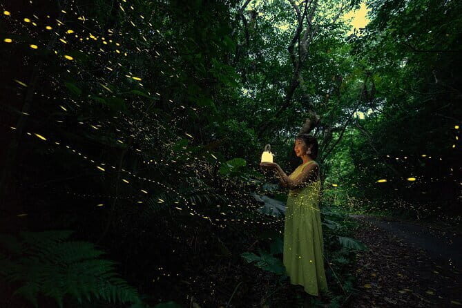 March-JunePrivate Firefly Viewing & Stargazing tour - Exploring the Magic of Ishigaki’s Night Sky: A Detailed Review of the Private Firefly & Stargazing Tour