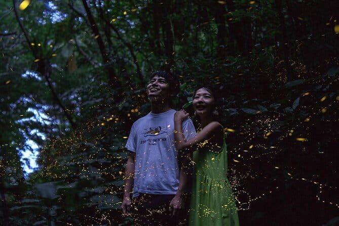 March-JunePrivate Firefly Viewing & Stargazing tour - Who Will Love This Tour?