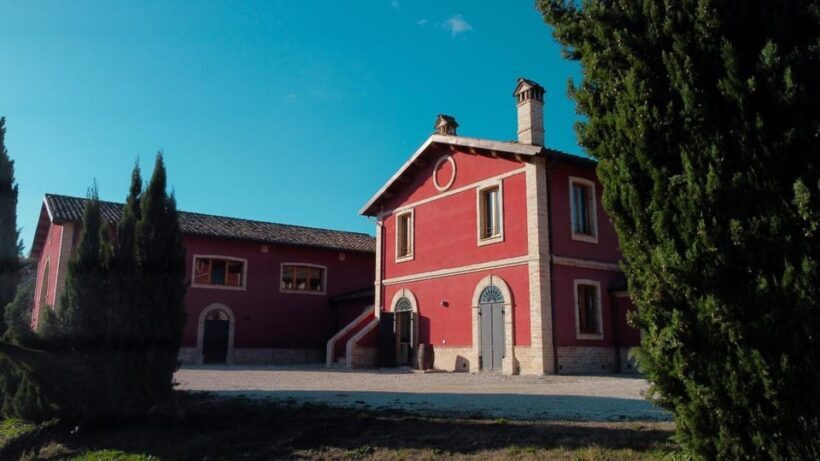 Marche: Tasting and Tour of Local Wines and Tastes at D'Erasmo Winery - The Itinerary: From Vineyards to Tasting