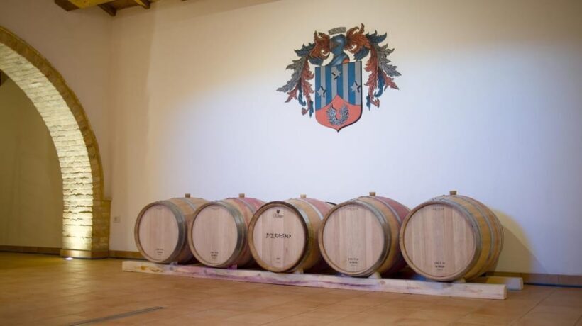 Marche: Tasting and Tour of Local Wines and Tastes at D'Erasmo Winery - Authenticity and Family Tradition