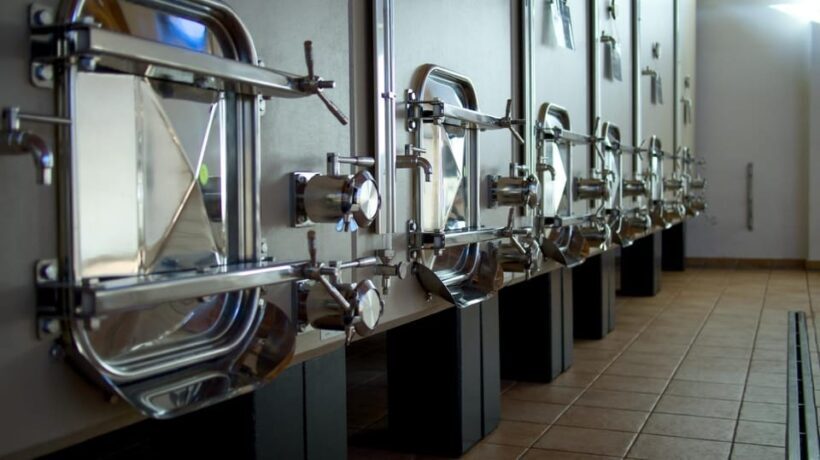 Marche: Tasting and Tour of Local Wines and Tastes at D'Erasmo Winery - FAQs