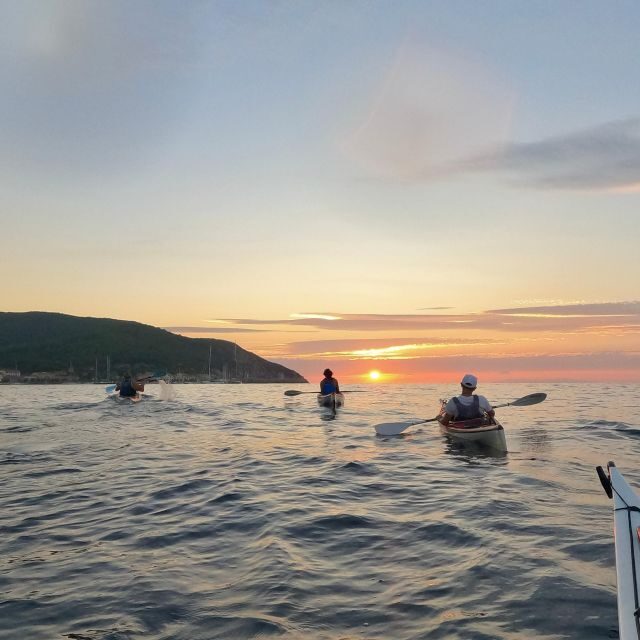 Marciana Marina: Evening Sea Kayaking Tour with Swim Stop - Who Would Love This Tour?