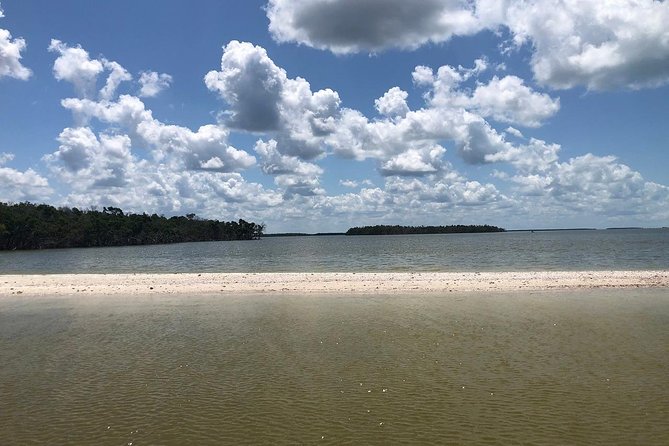 Marco Island 2 hour Dolphin, Birding and Shelling tour - An Honest Look at the Value