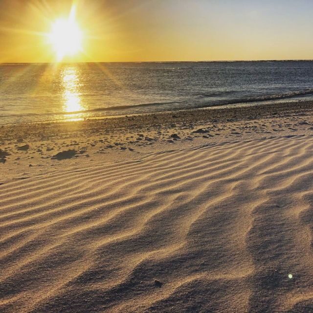 Marco Island: 2 Private Hour Sunset Boat Tour - Discovering Marco Island and the Rookery Bay Reserve
