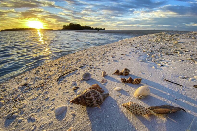 Marco Island: 2 Private Hour Sunset Boat Tour - What We Like and What to Keep in Mind