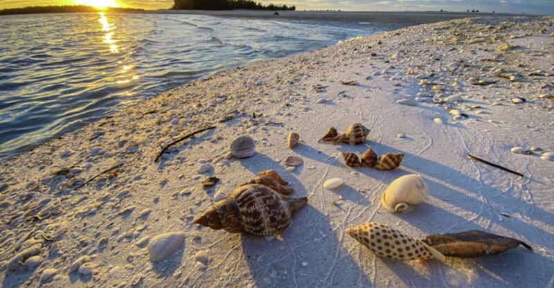 Marco Island: 2 Private Hour Sunset Boat Tour - What the Reviews Say