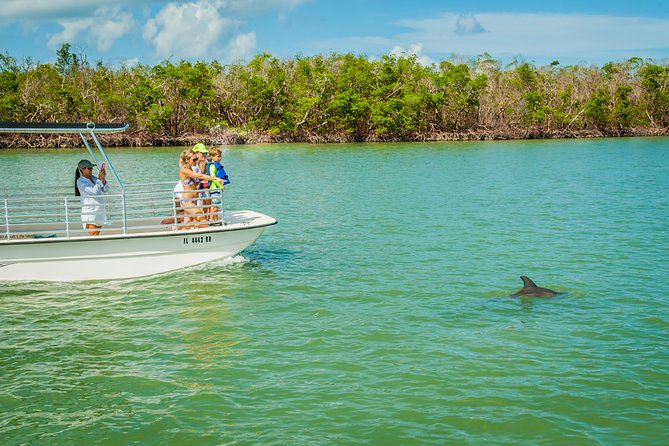 Marco Island Dolphin Sightseeing Tour - Who Should Book This Tour?