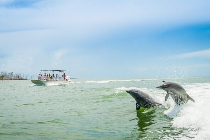Marco Island: Dolphin-Watching Boat Tour - Who Should Consider This Tour?