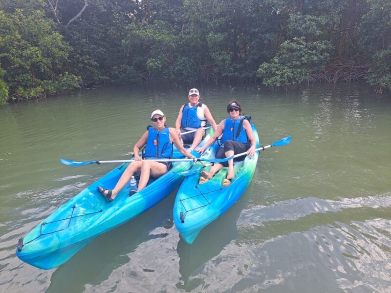 Marco Island: Kayak Mangrove Ecotour in Rookery Bay Reserve - Analyzing the Value
