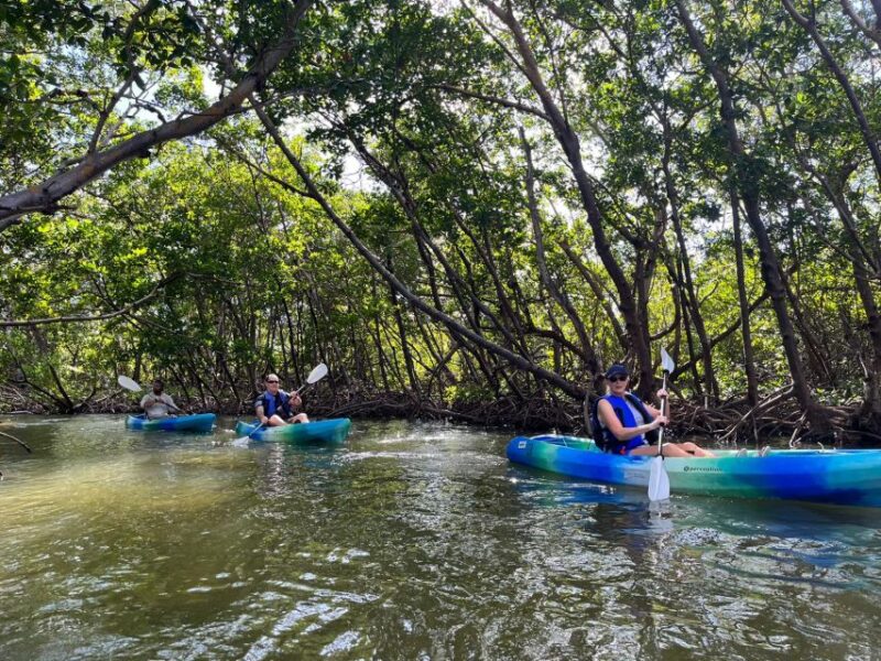 Marco Island: Kayak Mangrove Ecotour in Rookery Bay Reserve - Frequently Asked Questions (FAQs)