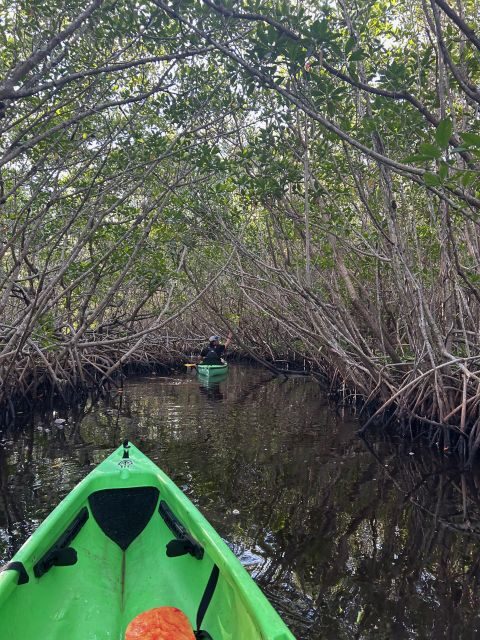 Marco Island: Mangrove Maze Kayak Tour (2hrs) - Key Points