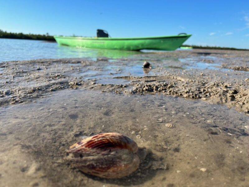 Marco Island: Mangrove Maze Kayak Tour (2hrs) - Pricing and Value